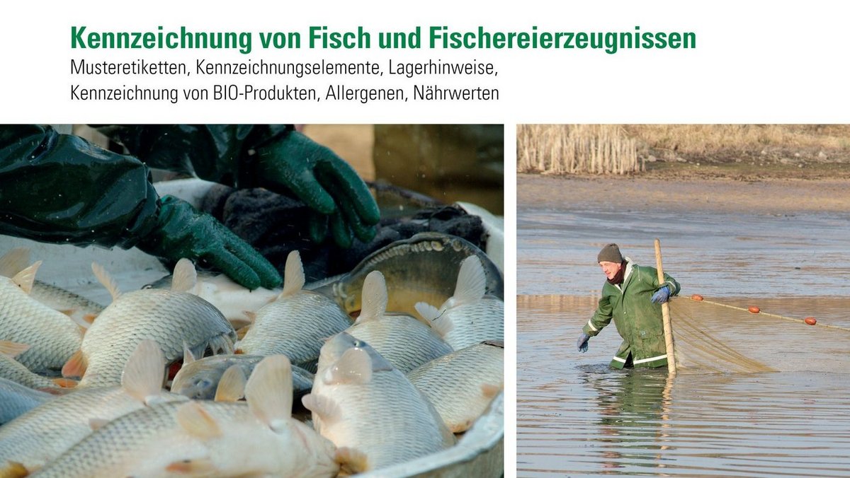 Kennzeichnung von Fisch und Fischereierzeugnissen - Teichwirteverband NOE